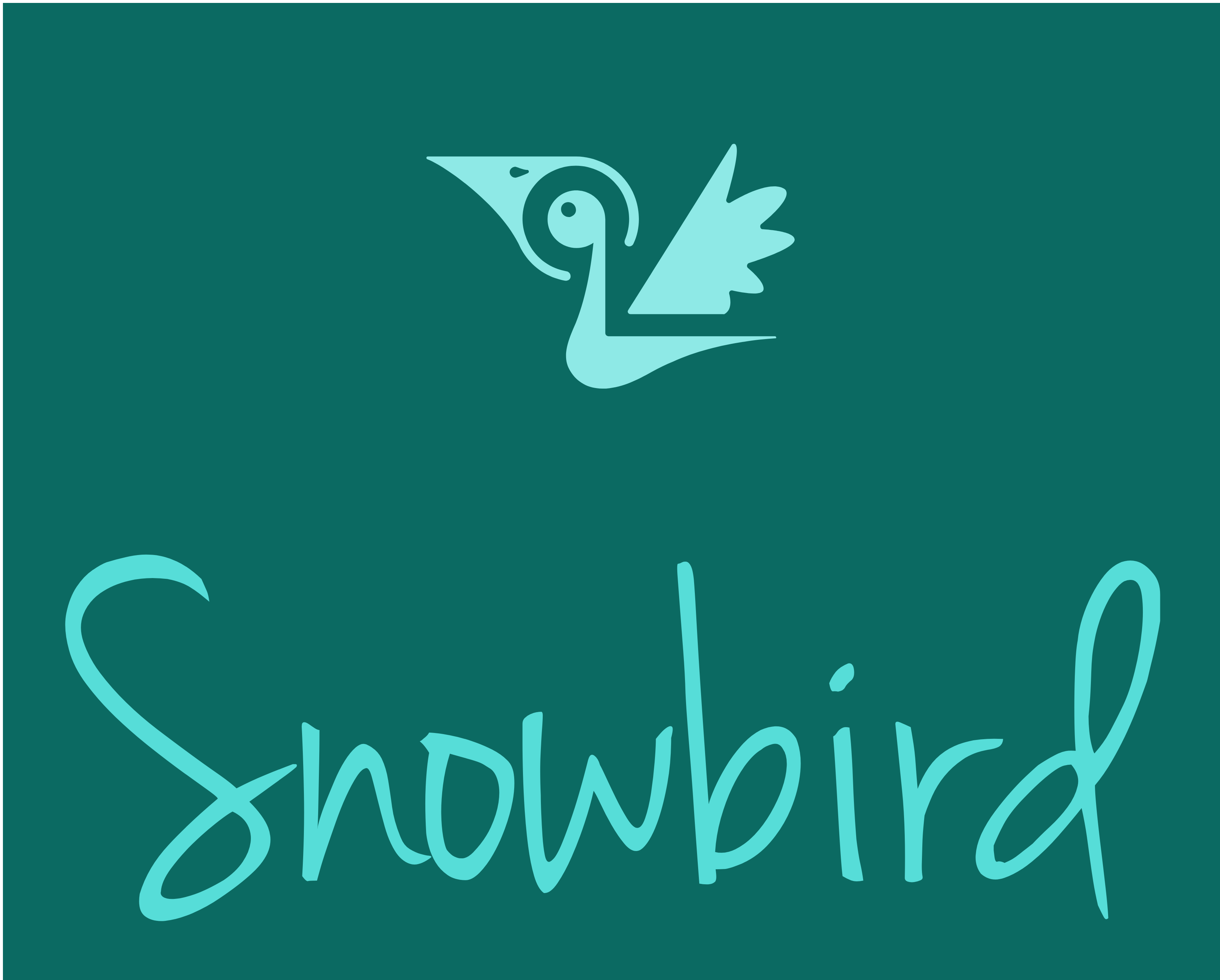 Snowbird- upscale clothing boutique from the north to the south – SNOWBIRD